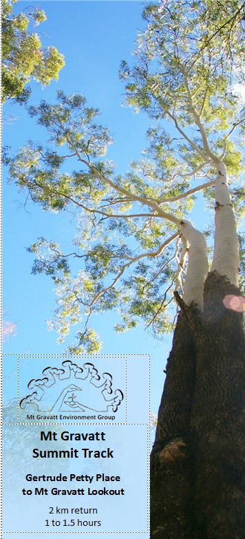 Self-guided bushwalk to Mt Gravatt Lookout | Mount Gravatt Environment ...