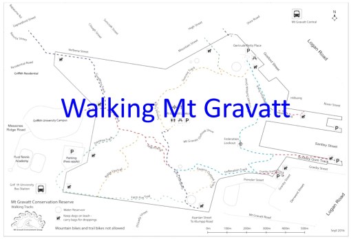 Flora & Fauna | Mount Gravatt Environment Group