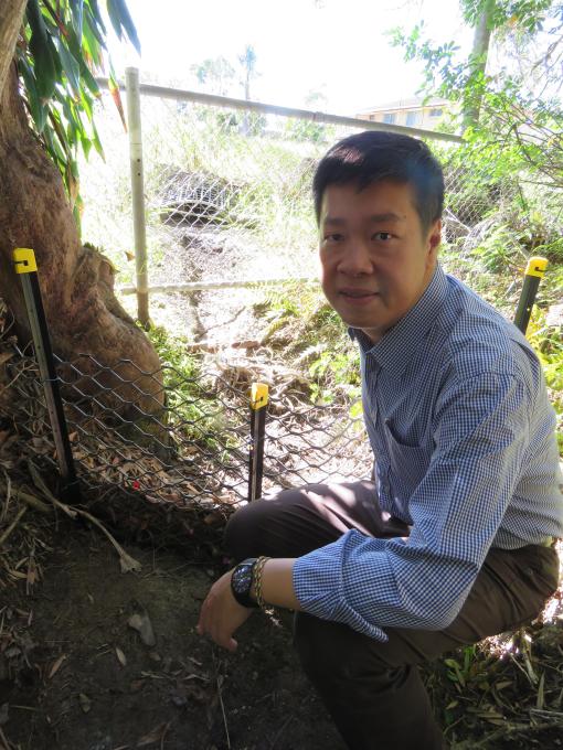 Roly Chapman Reserve Bushcare | Mount Gravatt Environment Group