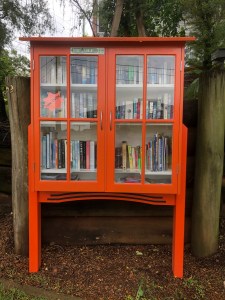 Community Street Library | Mount Gravatt Environment Group